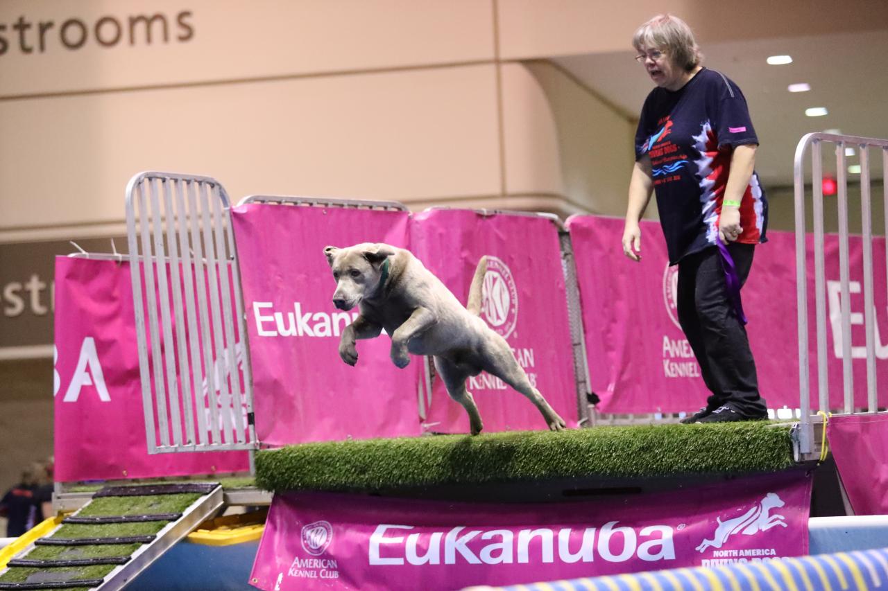 BLK Air Dogs - Best Kept Labs