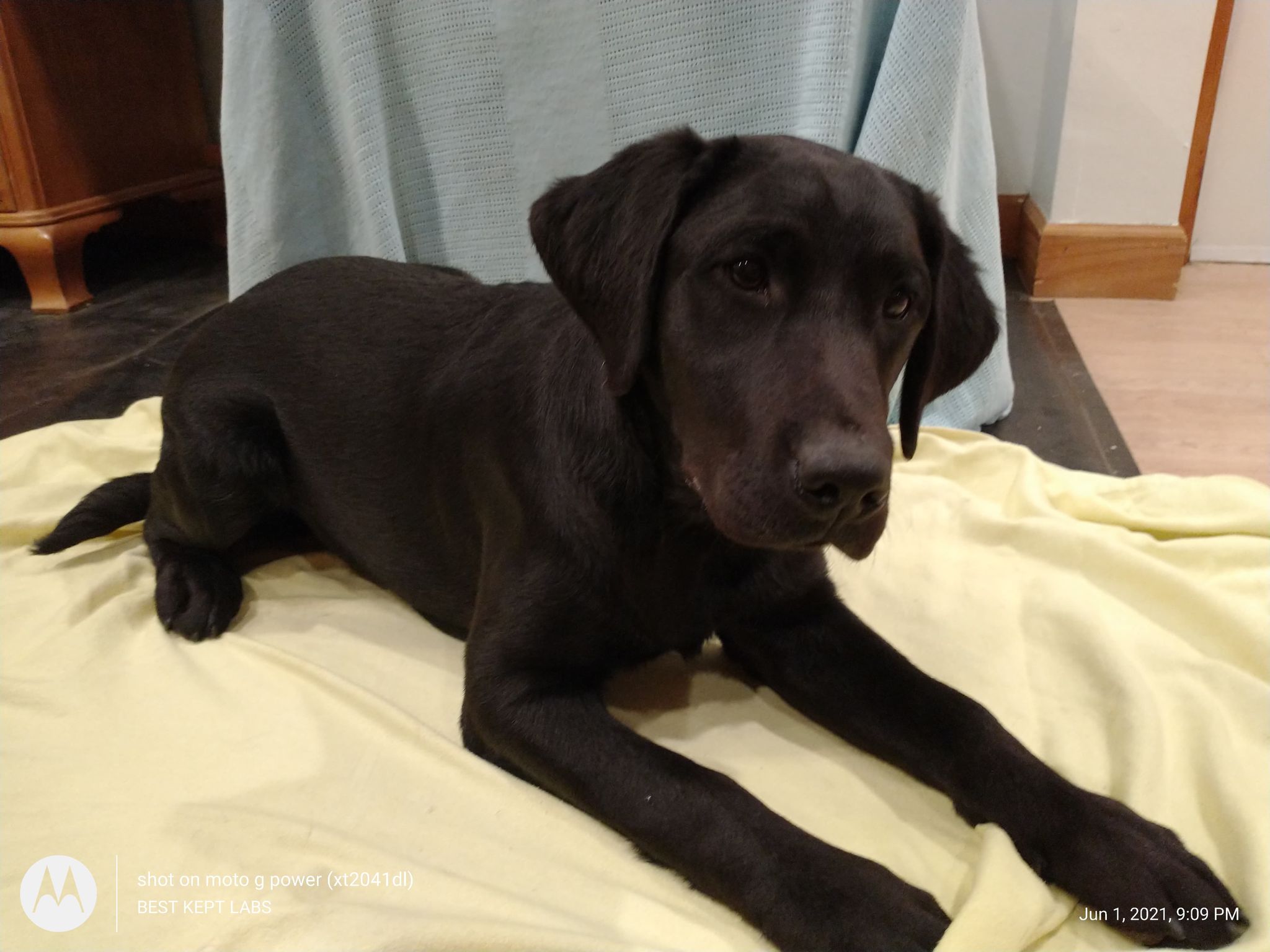 Eve - Best Kept Labs